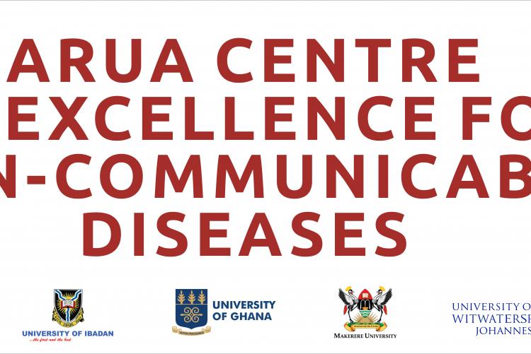 Launch of the African Research Universities Alliance (ARUA) Centre of ...